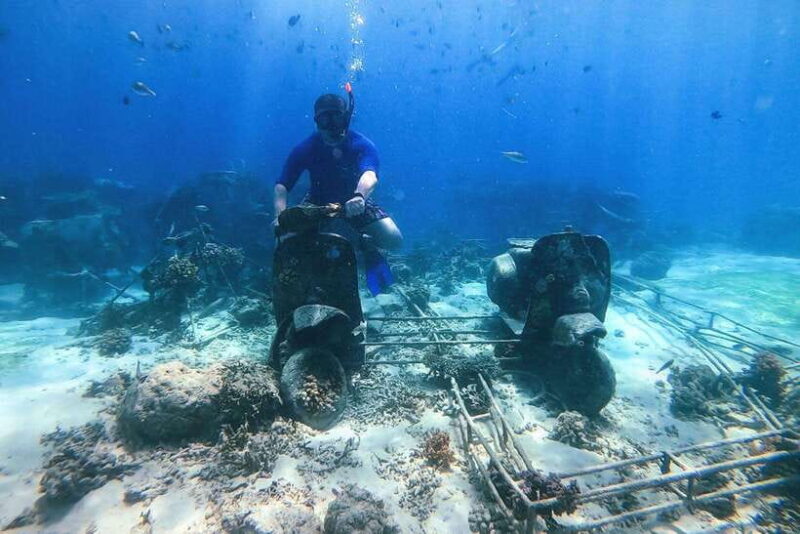 Private Group Snorkeling 3 Gili Islands from Gili Trawangan - Who Should Consider This Tour?