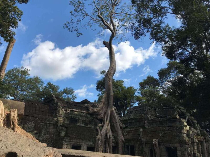 Private Guide: 1-Day Tour to Angkor Wat - The Value of the Tour