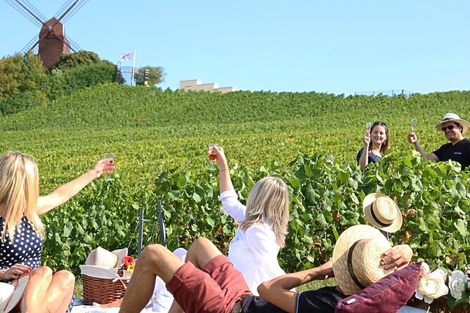 Private Guided Tour in Champagne from Paris with Moet&Chandon visit. - Scenic Vineyard Walks and Terroir Education