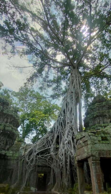 Private Guided Tours From Angkor Wat Sunrise To Banteay Srei - What’s Included and What to Expect