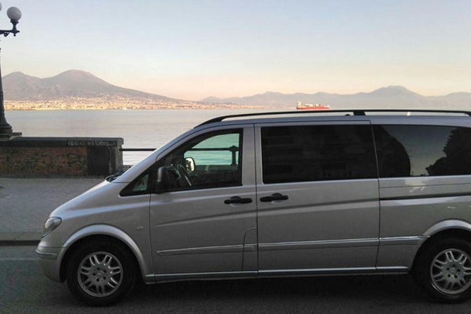 Private Half-Day Tour of Mt. Vesuvius - The Sum Up