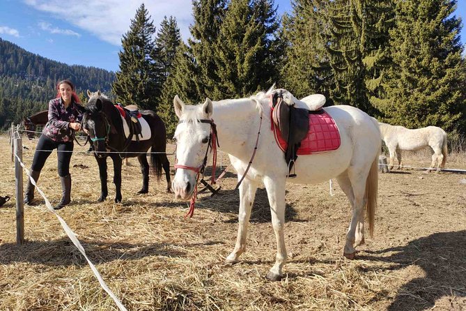 Private Horse Riding in Teteven Balkan from Sofia - Who Would Love This Tour?