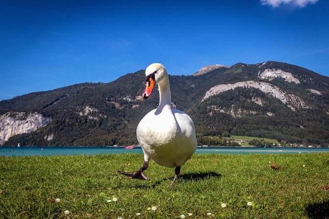 Private Lake District, St. Wolfgang and St. Gilgen Tour - What Could Be Better