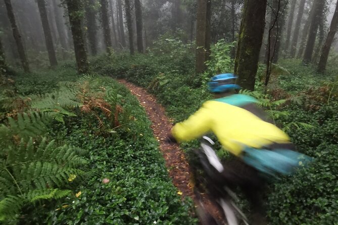 Private MTB Enduro Trail Tour in Sintra - Cascais Natural park - Final Thoughts: Who Will Benefit Most?