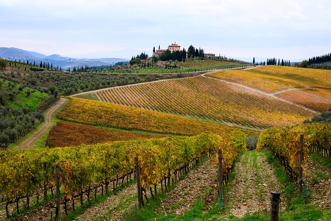 Private Orvieto and Tuscany Wine Tour from Rome - The Cost and Value