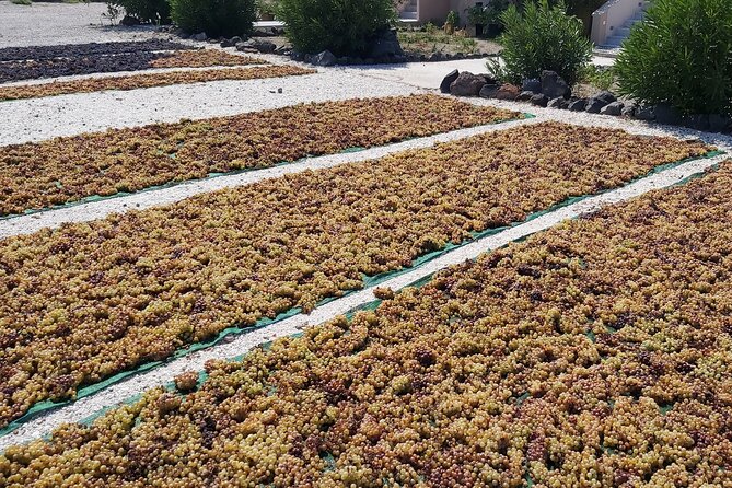 Private Santorini Wine Tasting Tour, 3 Wineries and Light Bites - Authentic Experiences and Genuine Value