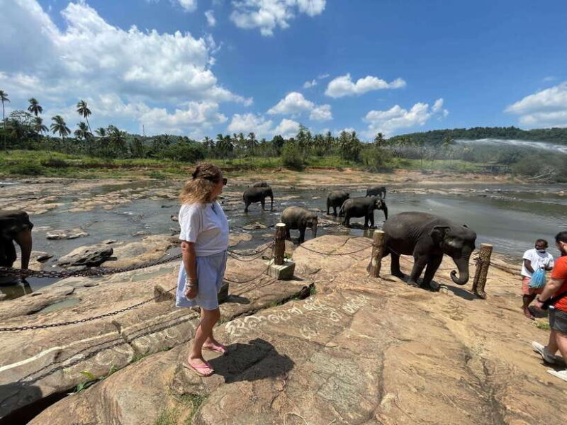 private tour guide in Sri lanka : 5 Days Tour Package - What’s Included and What’s Not?