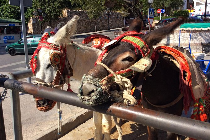 Private tour in Mijas pueblo from Costa del Sol - Who Should Consider This Tour?