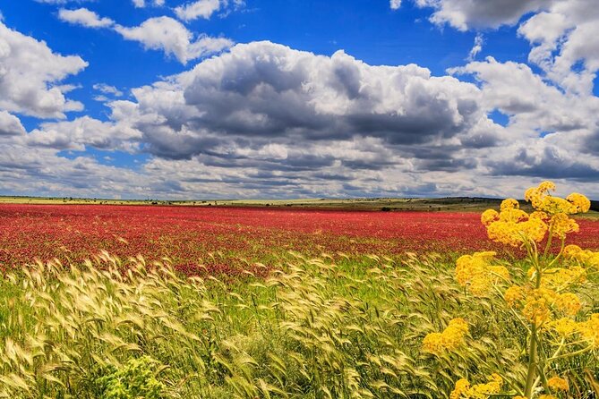 Private Tour in Tuk Tuk Sassi and Parco della Murgia Lungo - What Travelers Say