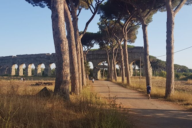Private tour of Rome - Golf cart - Who Should Consider This Tour?