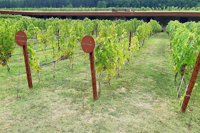 PRIVATE TOUR "Sweet Hills of Chianti and San Gimignano" with Lunch & 2 Tastings - Frequently Asked Questions