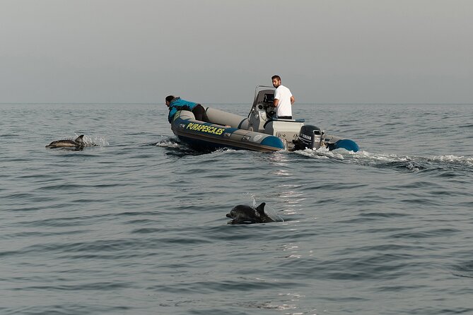 Private Tour with Dolphin Watching in Algeciras Bay - What Travelers Are Saying