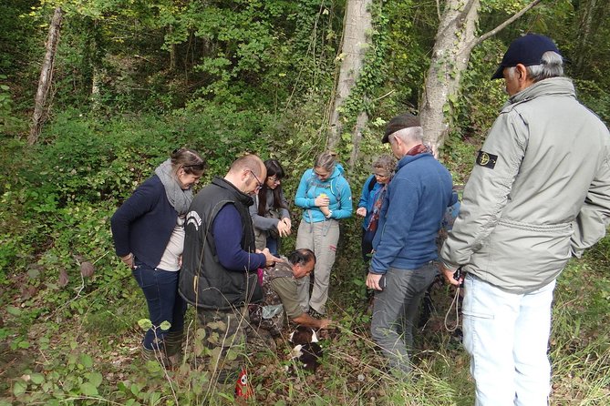 Private Truffle Hunting in Chianti - Why This Tour Works Well