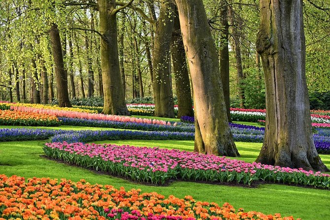 Private Tulip Fields, Windmills and Cheese Tour from Amsterdam - Who Is This Tour Best For?
