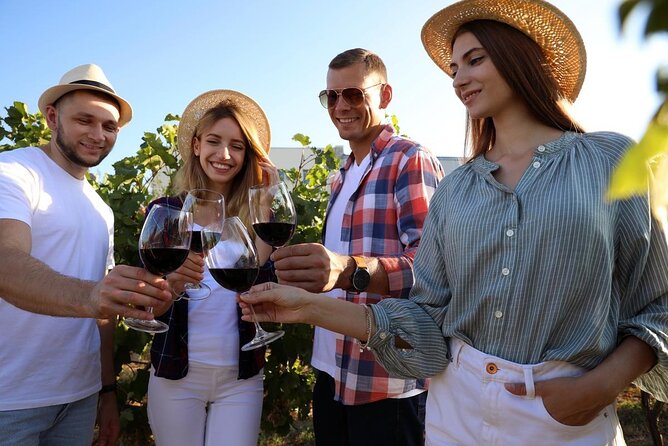 Private Vineyard Tour with Dinner Under the Stars in Karnas - Practical Details