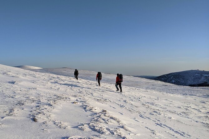 Private Walking Tour to Ben Macdui Scotland - Who Will Love This Tour?