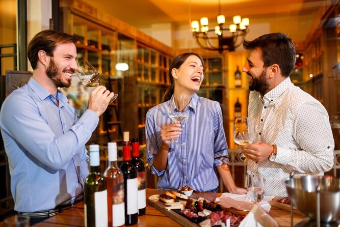 Private Wine Tasting in Cellar and the Winemaking process - Who Should Consider This Tour?
