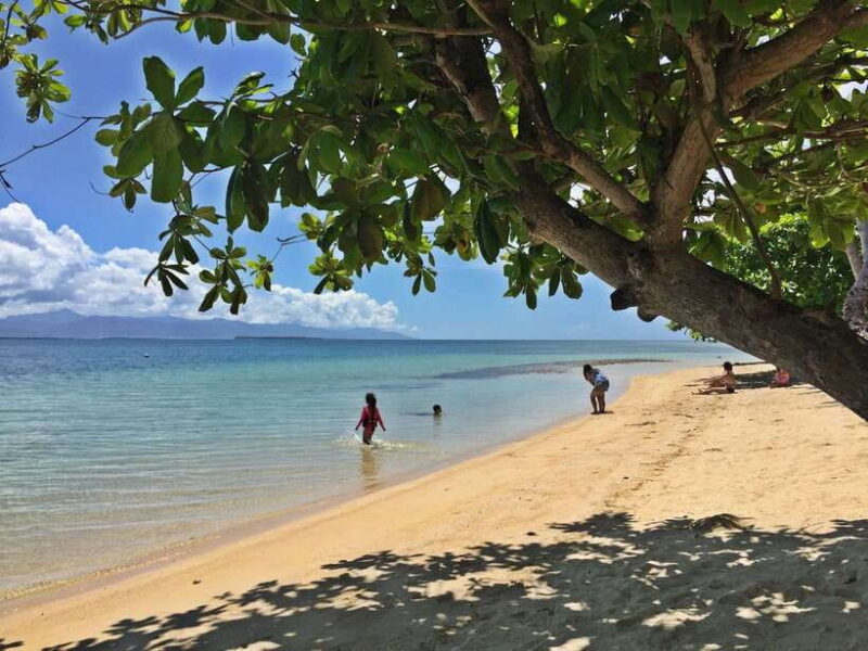 Puerto Princesa: Cowrie Island Guided Day Tour with Meal - Authentic Experiences Highlighted in Reviews
