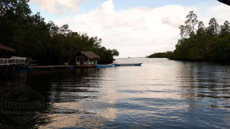 Puerto Princesa: Firefly Watching Paddle Boat Tour & Dinner - The Night Cruise and Firefly Viewing