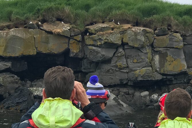 Puffin Watching Speedboat Express - Who Should Book This Tour?