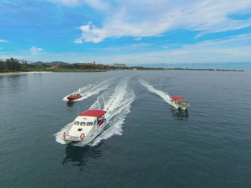 RAID Open Water 20 Diver Course 3-Days | Kota Kinabalu - The Marine Environment: What Youre Likely to See