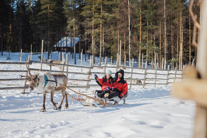 Reindeer Experience with Sledge Ride - FAQs
