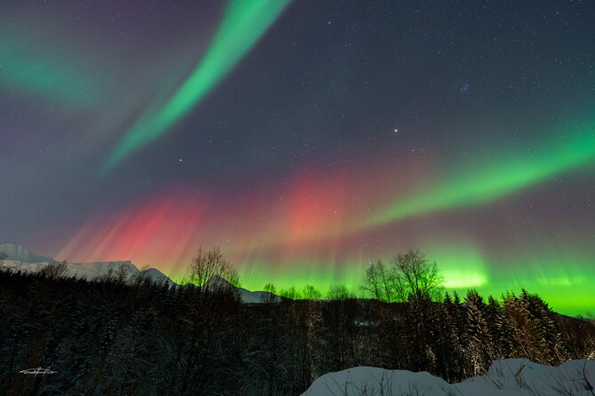 Reindeer Feeding and Sledding, Sami Storytelling Night Tour - Final Words