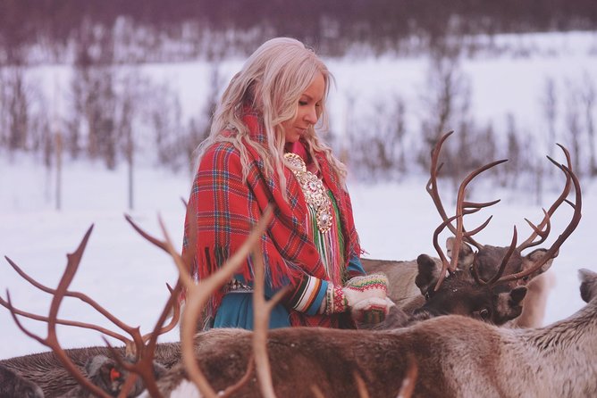 Reindeer Sledding and Feeding with Sami Culture in Tromso. - Practical Tips for Your Day