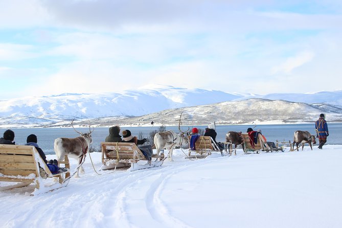 Reindeer Sledding Experience and Sami Culture Tour from Tromso - FAQ