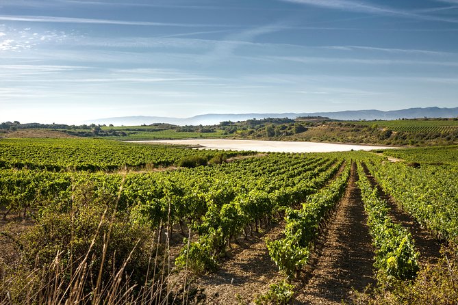 Rioja Wine Tour: 2 Wineries From Pamplona - Final Thoughts