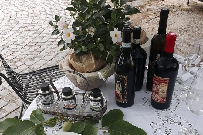 Rome Countryside Vineyards and Wine Tasting - Private Tour - Who Will Love This Tour?