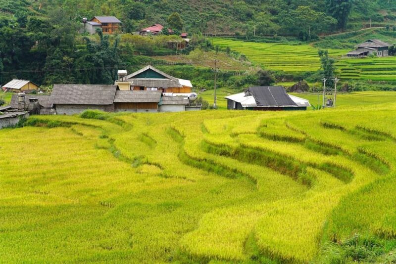 Sa Pa: Half-Day Cat Cat Village Hike to Meet H'mong People - What to Expect During the Tour