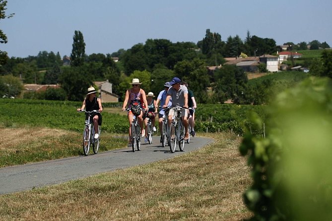 Saint-Emilion Small-Group Electric Bike Wine Tour Tastings & Lunch from Bordeaux - What Travelers Are Saying