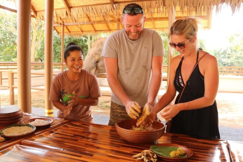 Samui: Feeding Program at the Elephant Home Nursery - What Makes This Experience Special?