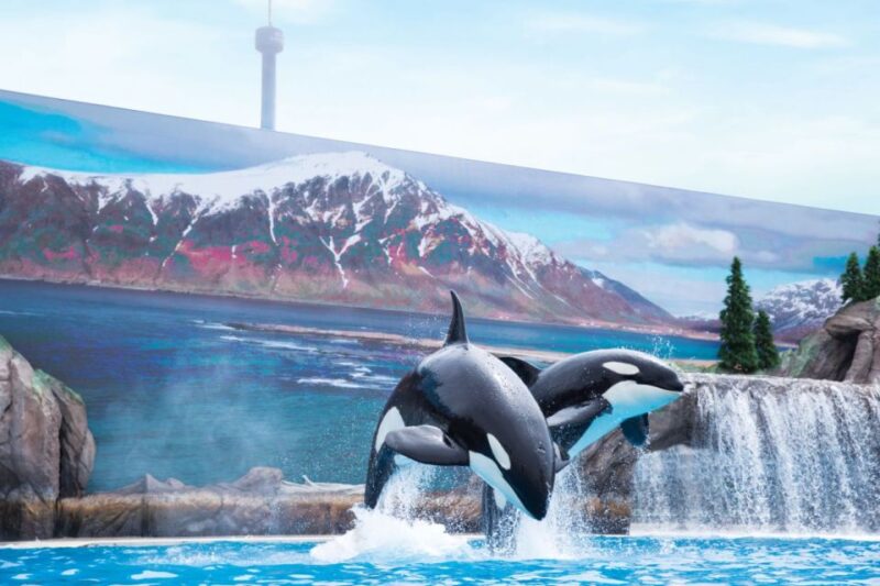 San Antonio: SeaWorld Skip-the-Line Park Admission Ticket - Practical Tips for Visiting SeaWorld San Antonio