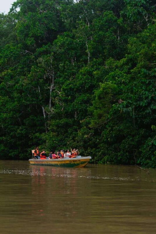 Sandakan: Kinabatangan River Wildlife Cruise with Lunch - The Quality of the Guides and the Experience