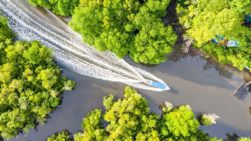 Sandakan: Orangutan, Sun Bear, Fireflies and Mangrove Cruise - Practical Details and Value