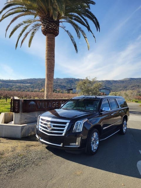 Santa Rosa: Private Airport Transfer Service - Who Is This Service Best For?