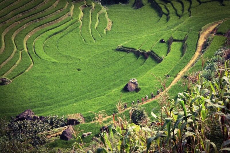 Sapa 3-Day Trekker - Final Day: Exploring the Red Dao and Heading Back