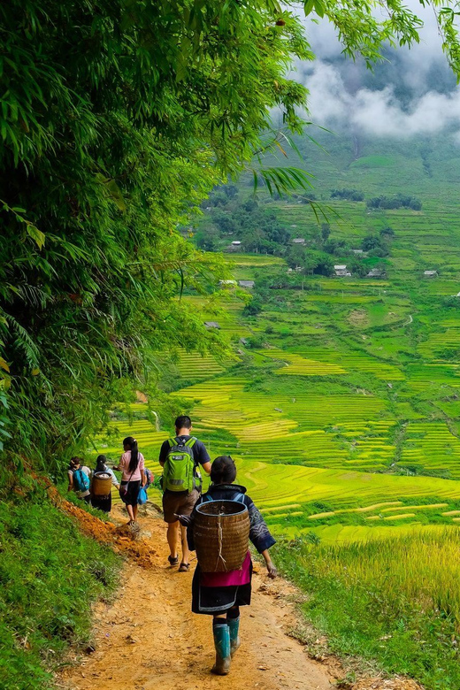 Sapa beautiful rice field, village - Easy walking kid,senior - The Scenic Drive and Short Walks
