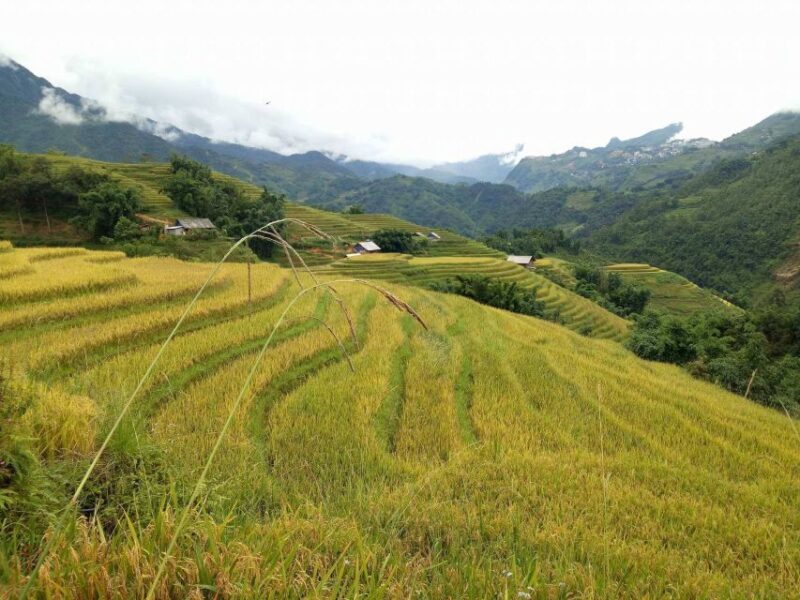 Sapa Bike Tour to Muong Hoa Valley and Local Life Experience - A Culturally Enriching Lunch