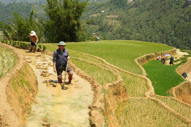 Sapa hard trekking villages and homestay 2 days 1 night trip - Practical Tips for Future Travelers