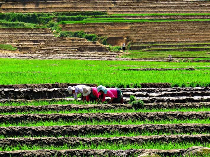 Sapa Trekking Guide Francophone 2 days  1 night - Final Thoughts