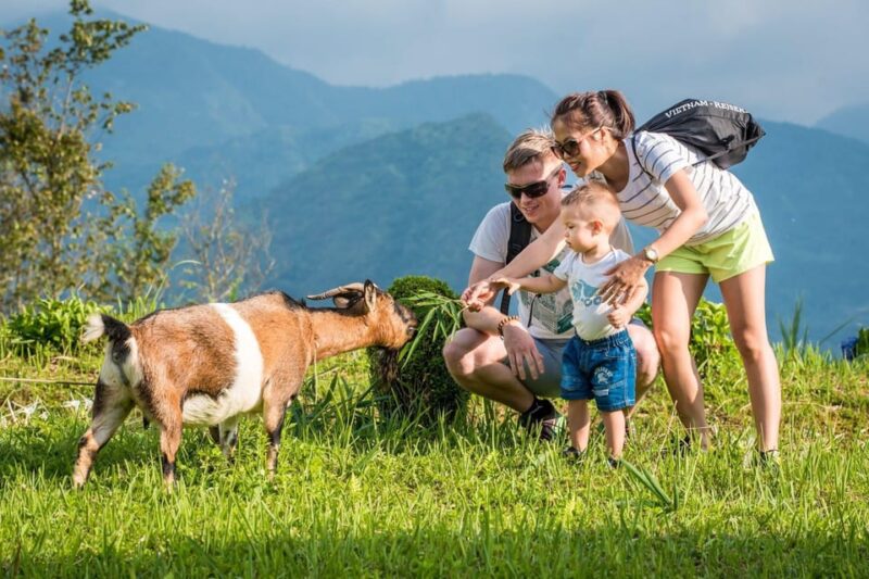 SAPA TREKKING & HOMESTAY: 3D2N - Who Will Love This Tour?