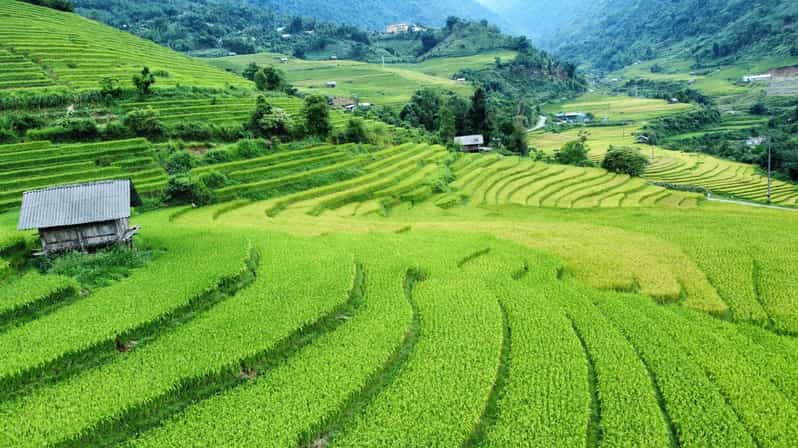 Sapa: Trekking Sapa One Day With Group Tour - Authenticity and Cultural Insights