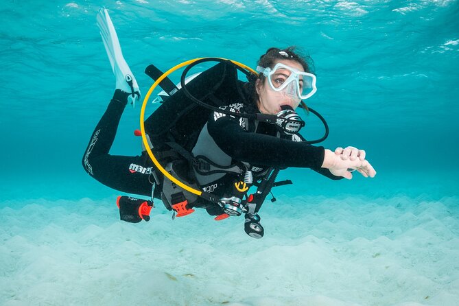 Scuba Diving Experience in Madeira - Authentic Perspectives from Travelers