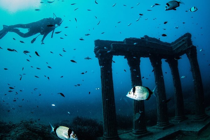 Scuba Diving Under Water Museum - Why This Tour Offers Good Value