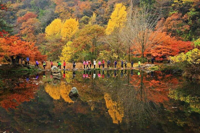 Seoul: Autumn Foliage - Mt. Naejang + Jeonju Hanok Village - What Past Participants Say