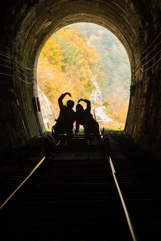 Seoul: Nami Island & Alpaca World & Railbike (+Healing Park) - The Sum Up