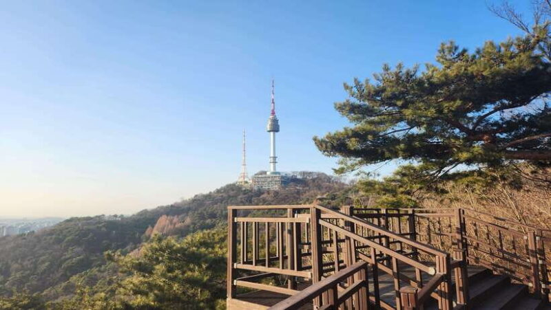 Seoul: Services of a Local for a Day (Paperwork/Tour/Fun) - The Cost: Is It Worth It?